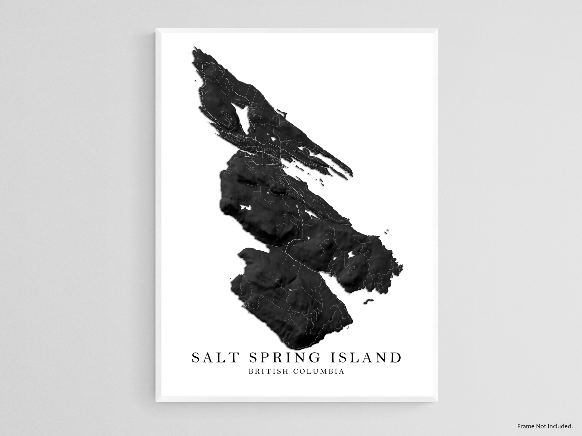 Salt Spring Island Map Print Poster, Black and White Topographic Salts ...