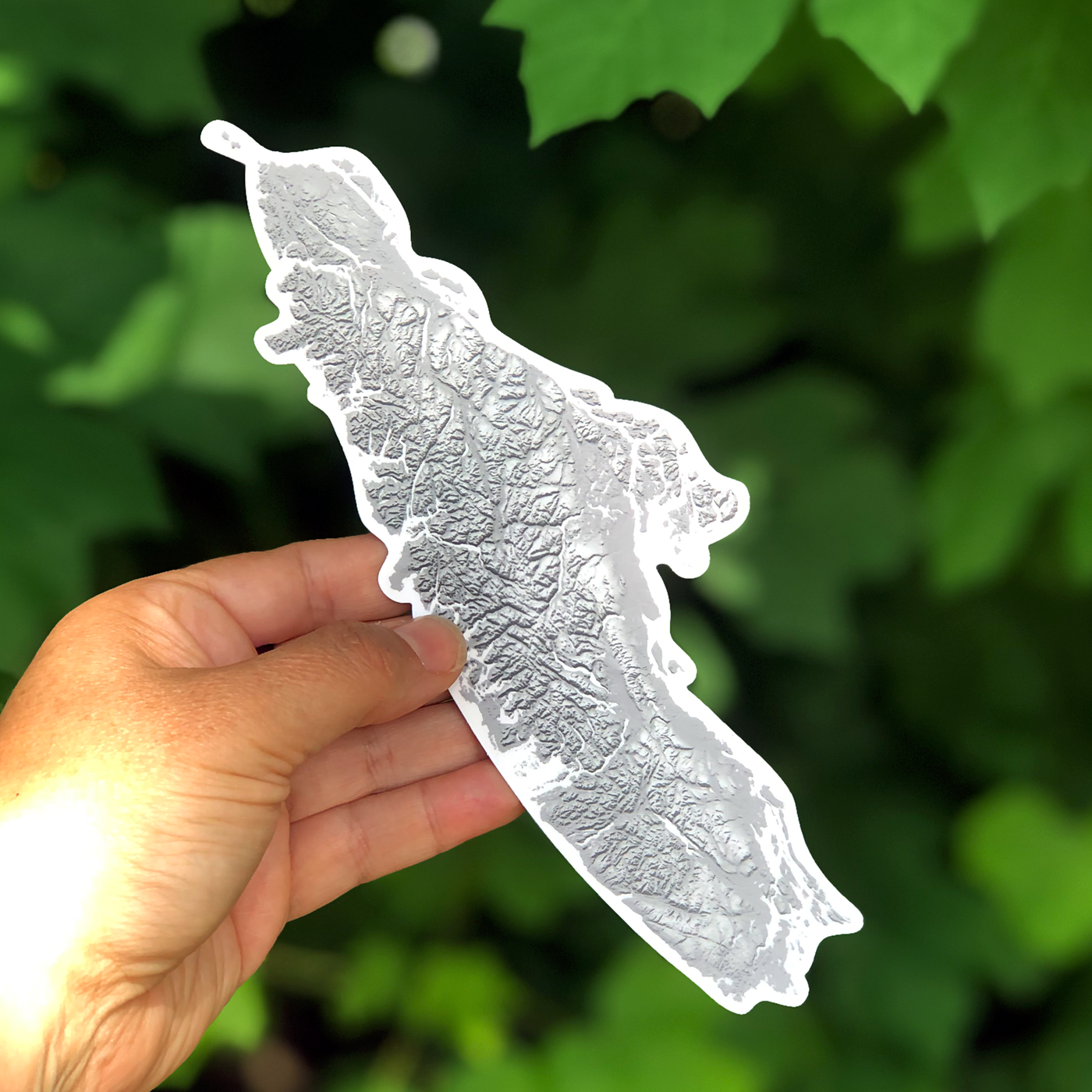 Black and White Vancouver Island Car Vinyl Decal, Topographic Vancouve ...