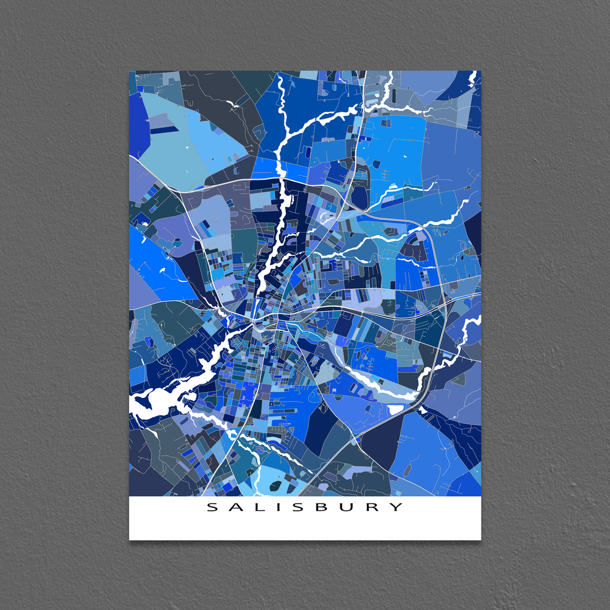 Salisbury Map Print, Maryland, USA — Maps As Art